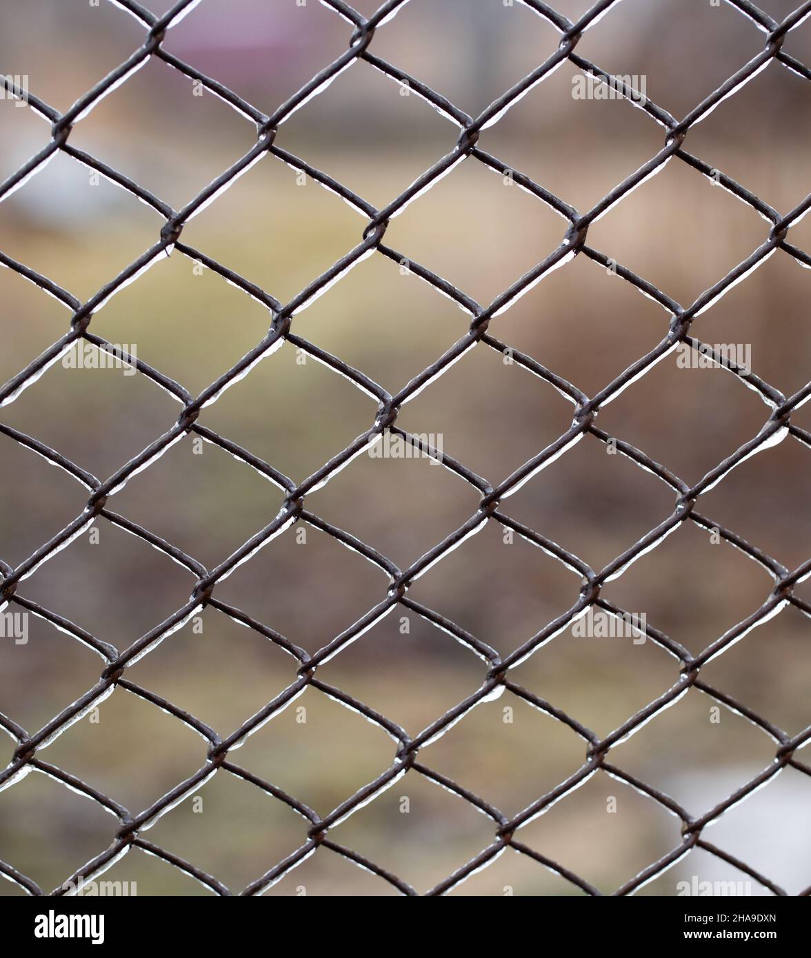 Metal old rusty mesh covered with ice. Deteriorating weather conditions ...