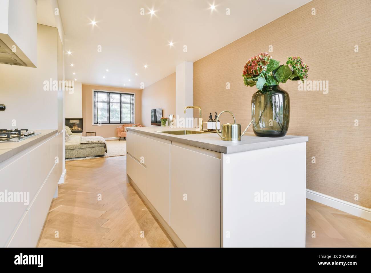 Stylish and modern kitchen with white kitchen unit Stock Photo - Alamy