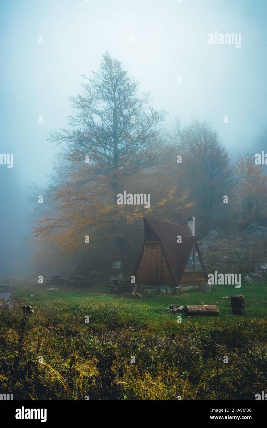 Wooden hut trees in forest architecture hi-res stock photography and ...