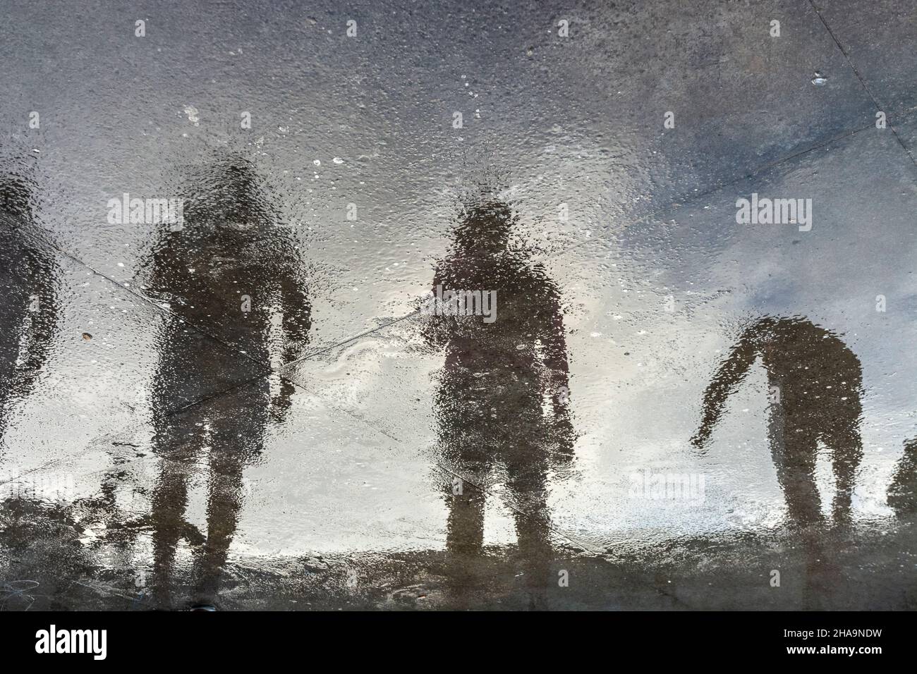 Reflection of fishermen in the external area of the colony where fish ...