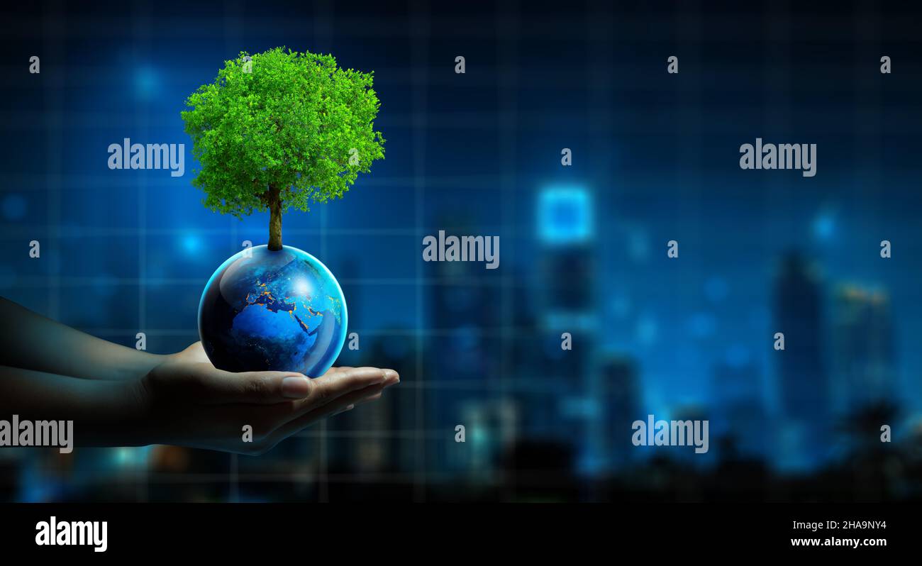 Man hand holding Tree on Earth with Technology Economic. Tree growing ...