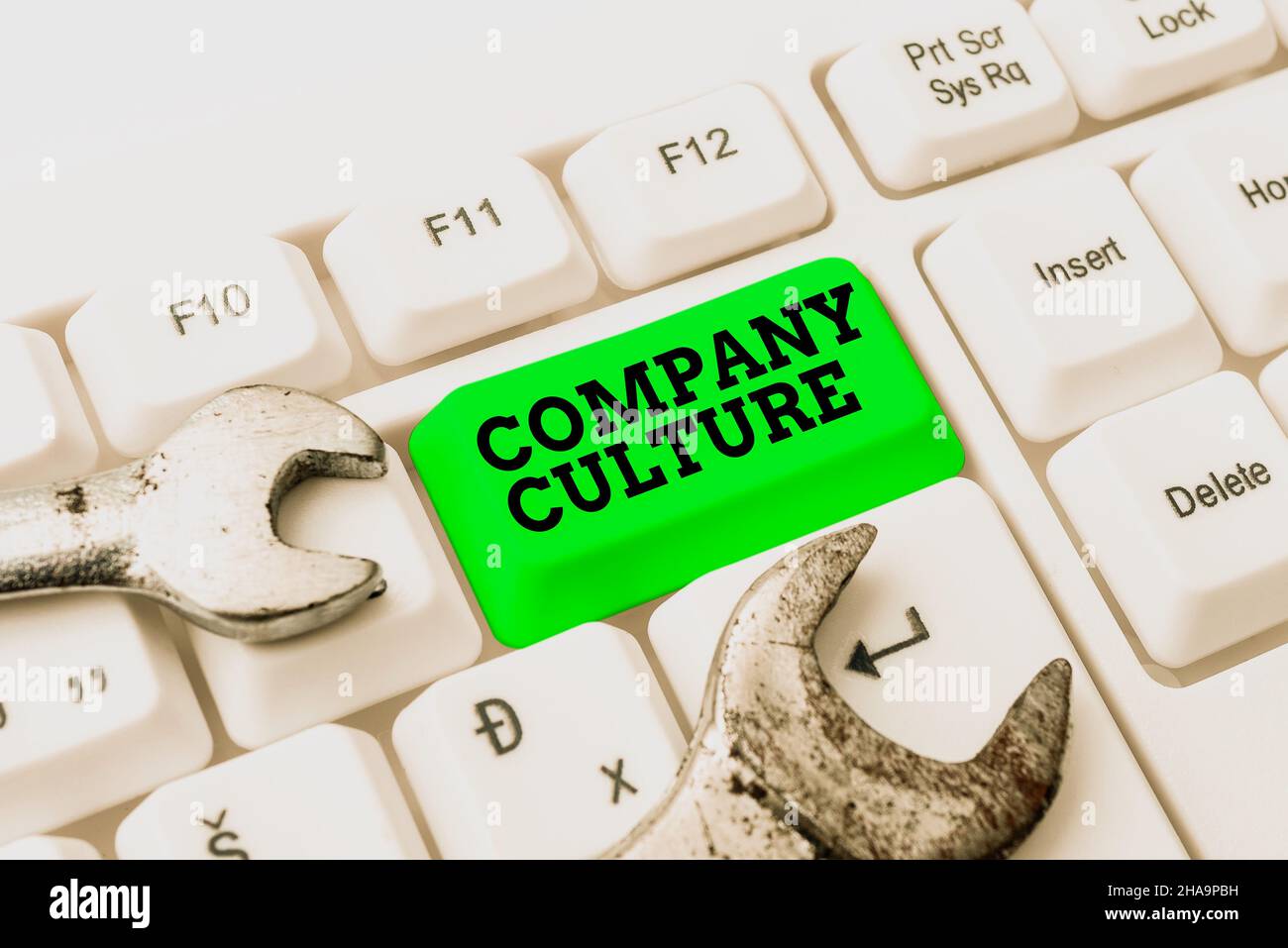 Text sign showing Company Culture. Word Written on The environment and ...