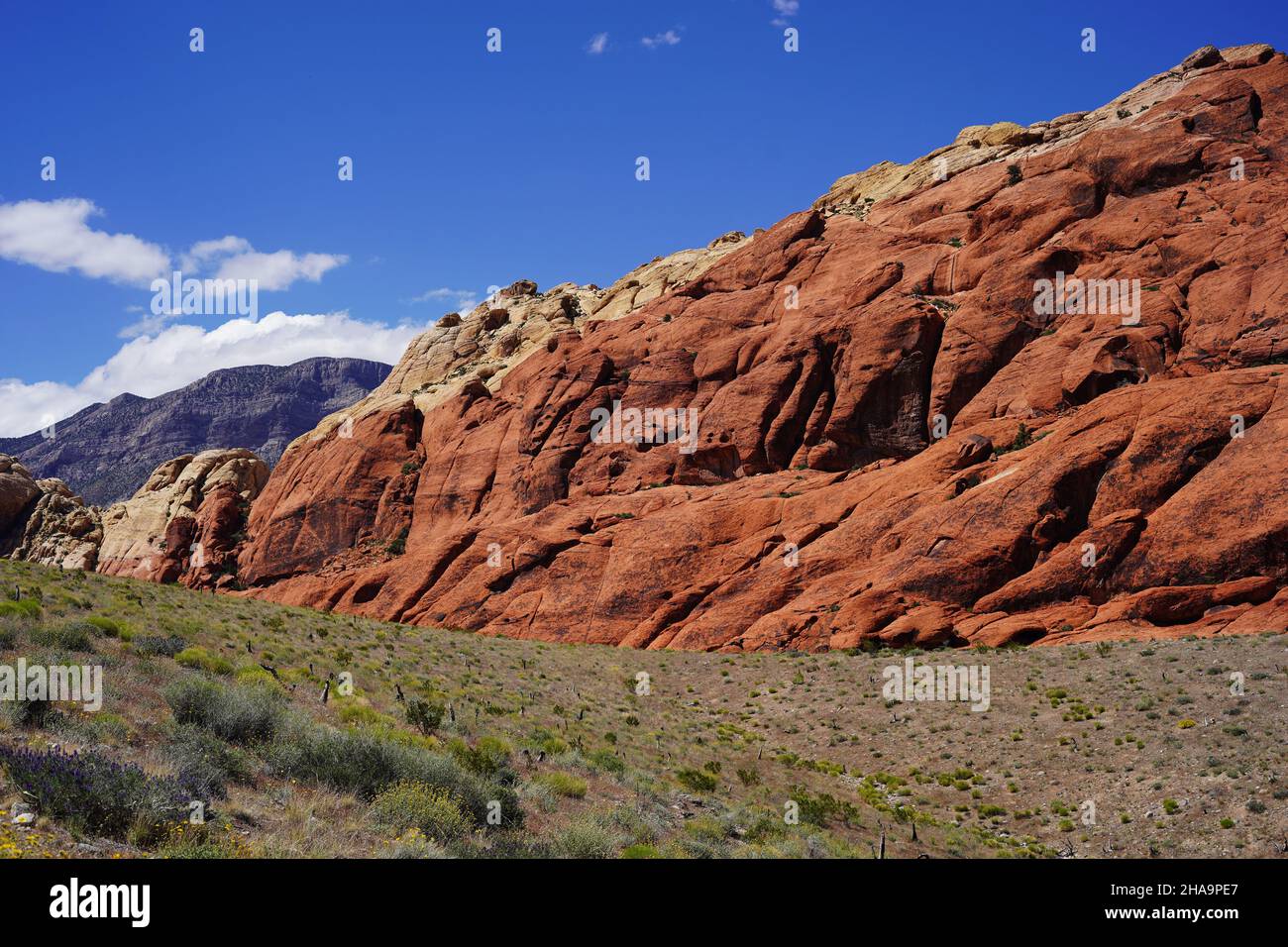 Red rocks and mountains hi-res stock photography and images - Alamy