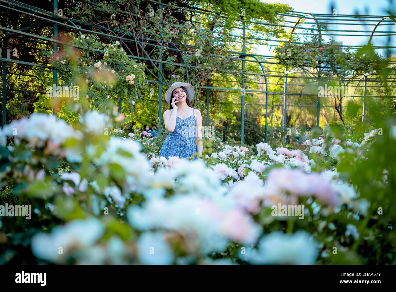 Young woman using a phone at park during spring summer season Stock ...