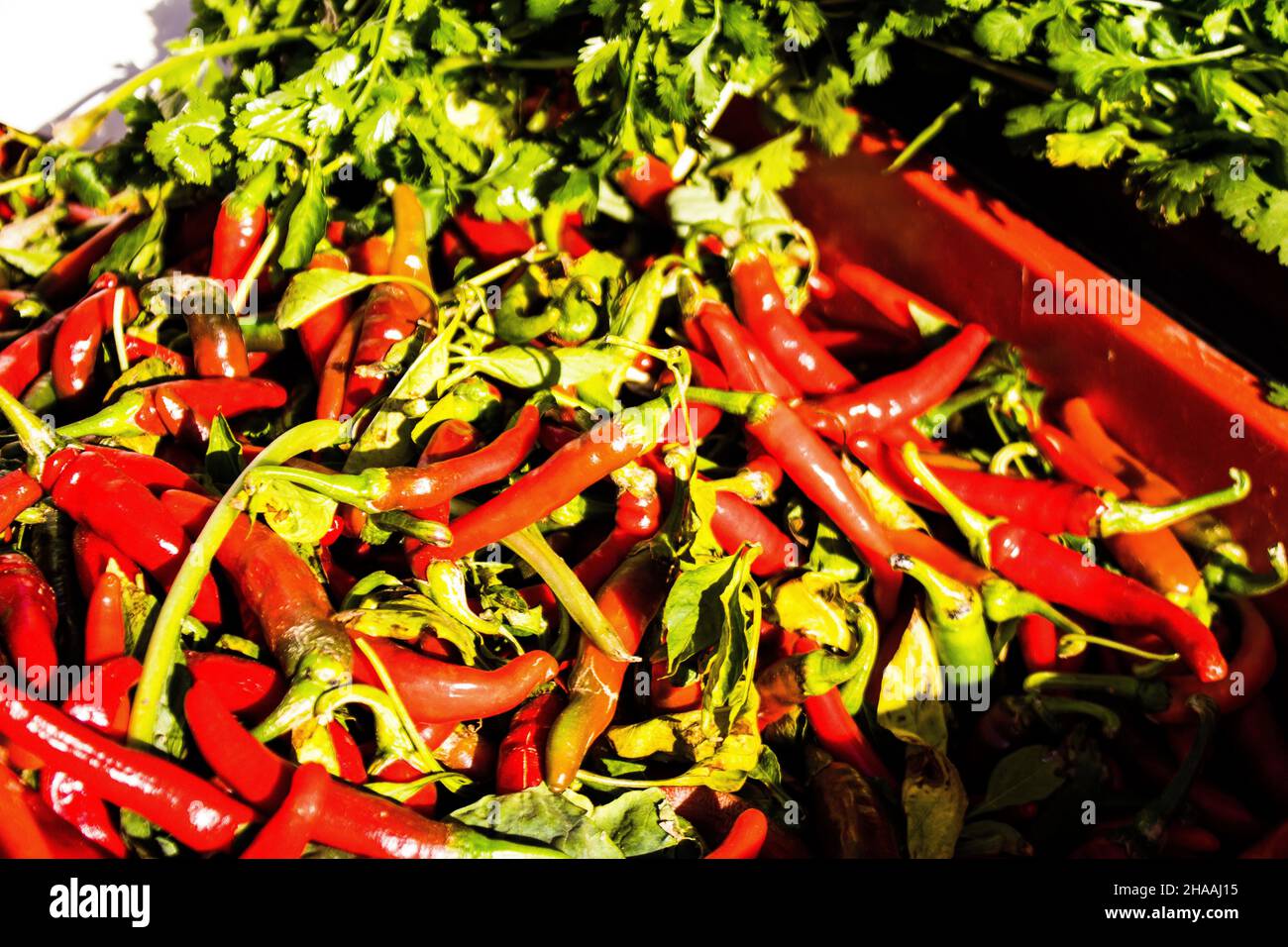 Limassol, Cyprus - December 11, 2021 Vegetables sold at the Saturday ...
