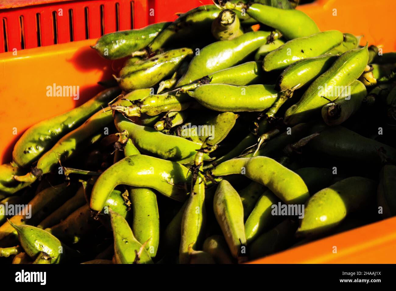 Limassol, Cyprus - December 11, 2021 Vegetables sold at the Saturday ...