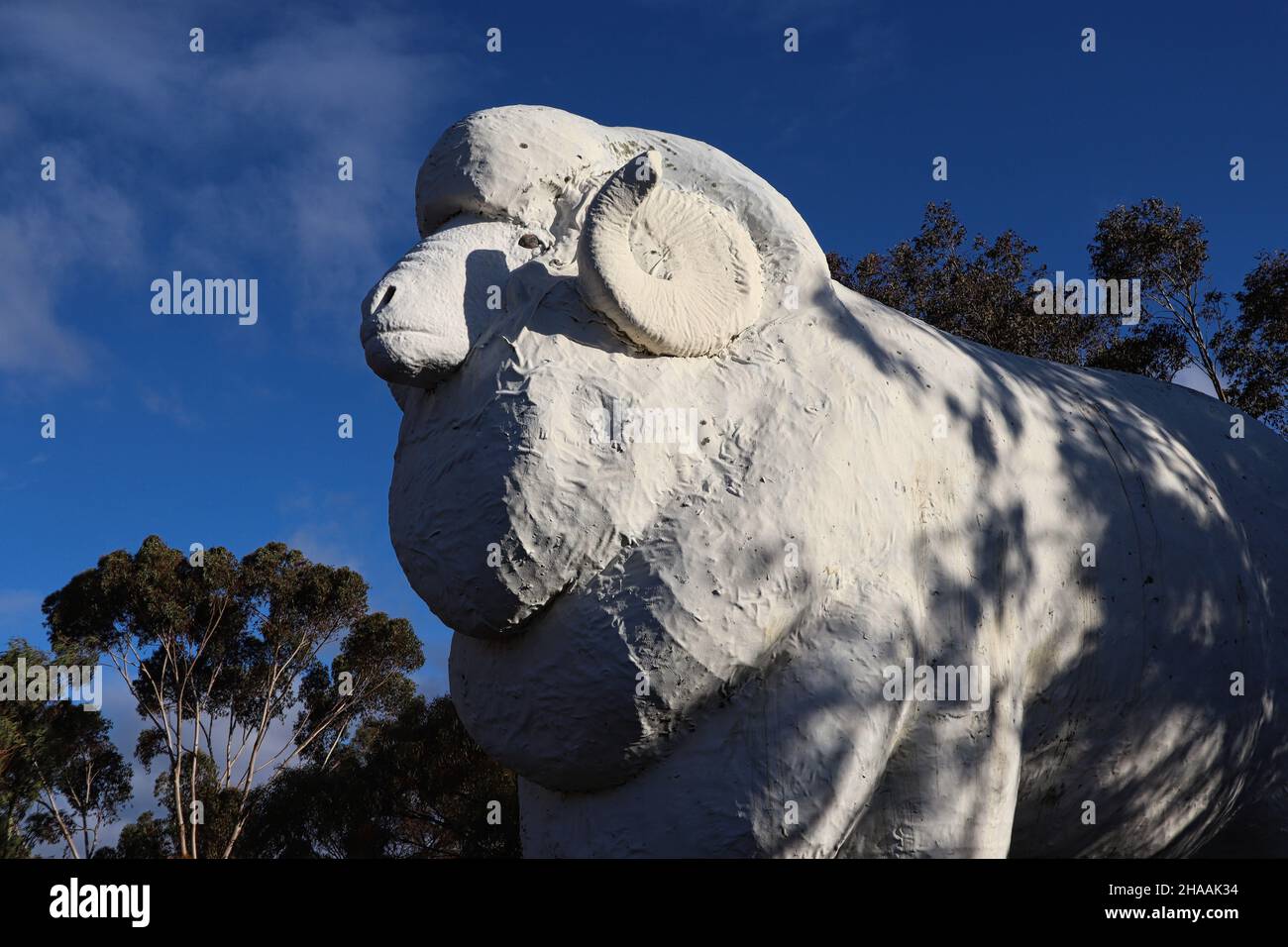 The big ram statue wa hi-res stock photography and images - Alamy