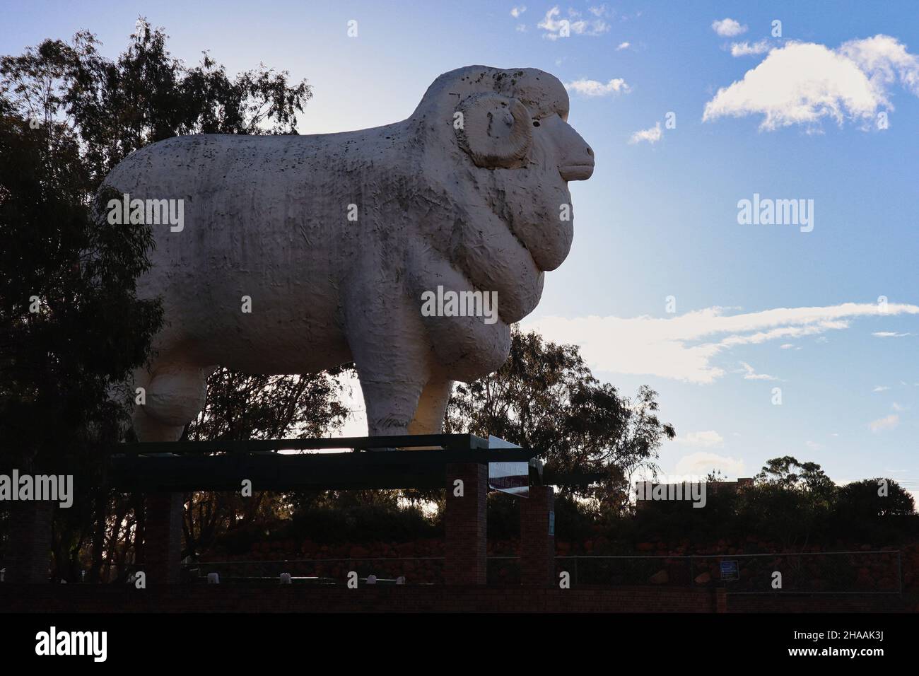 The big ram western australia hi-res stock photography and images - Alamy