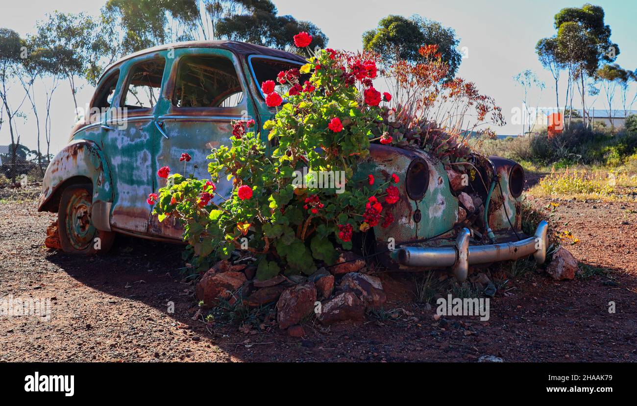 A wrecked VW Beetle with Flowers growing out of it - Hippie Festival ...