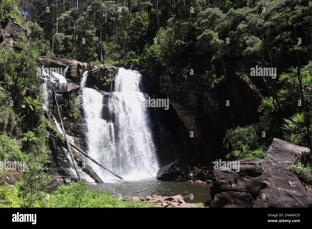 Apollo creek hi-res stock photography and images - Alamy