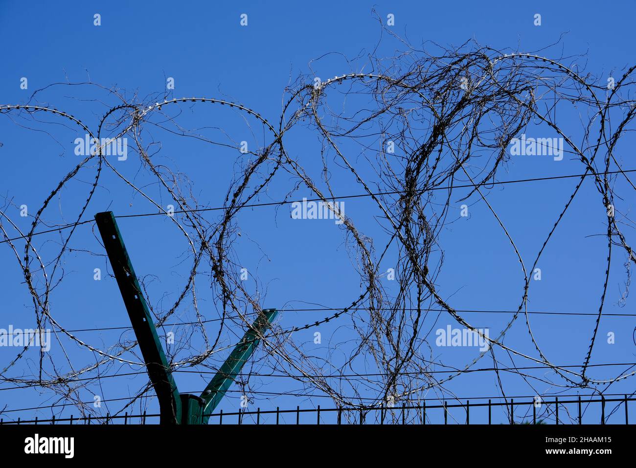Old photo frame barbed wire hi-res stock photography and images - Alamy