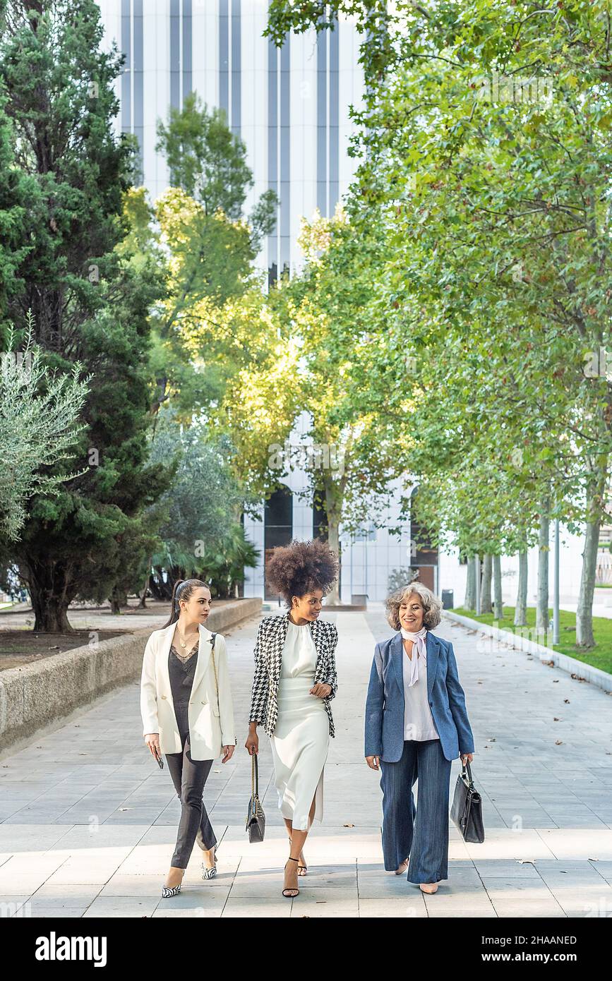 three business workers walking together with trees on both sides Stock ...