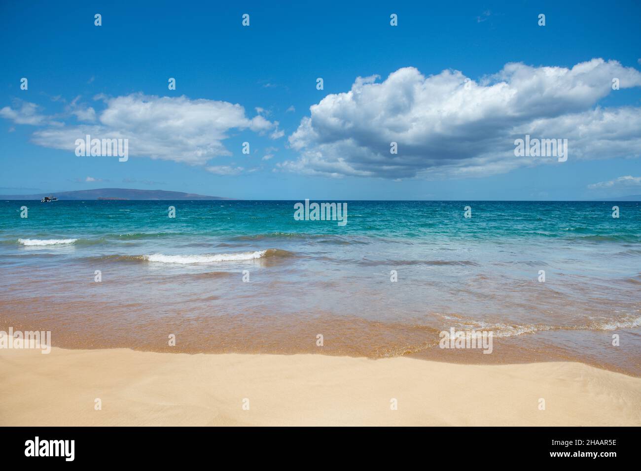 Blue ocean wave on sandy beach. Beach in sunset summer time. Beach ...