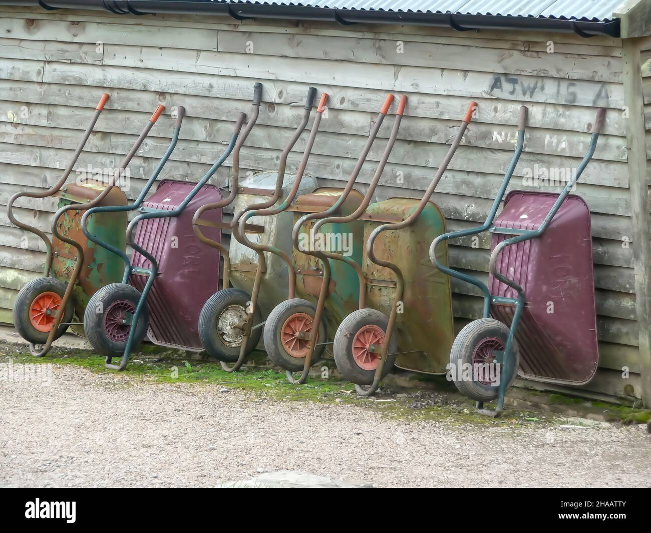 An aligned colored aged Wheelbarrows leaning on a rusty metal fence ...