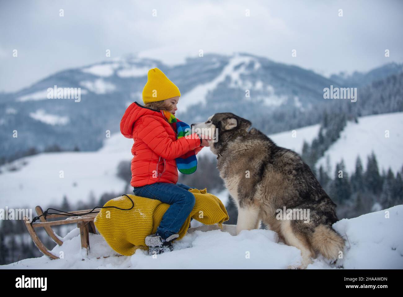 Boy kid enjoying a sleigh ride. Child plays outside in the snow with ...