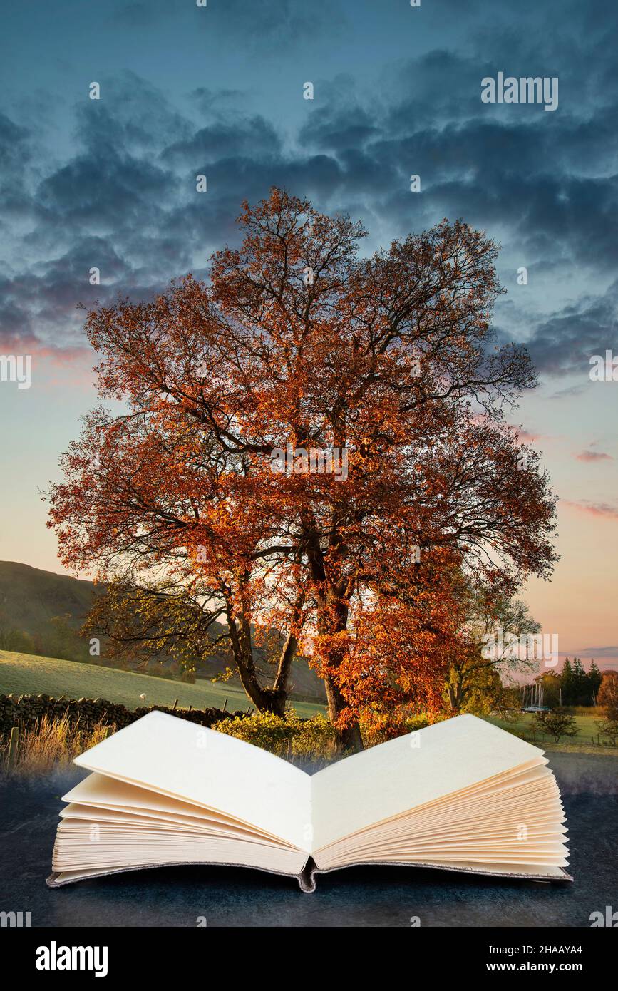 Beautiful Autumn Fall scenery landscape of countryside in Lake District ...