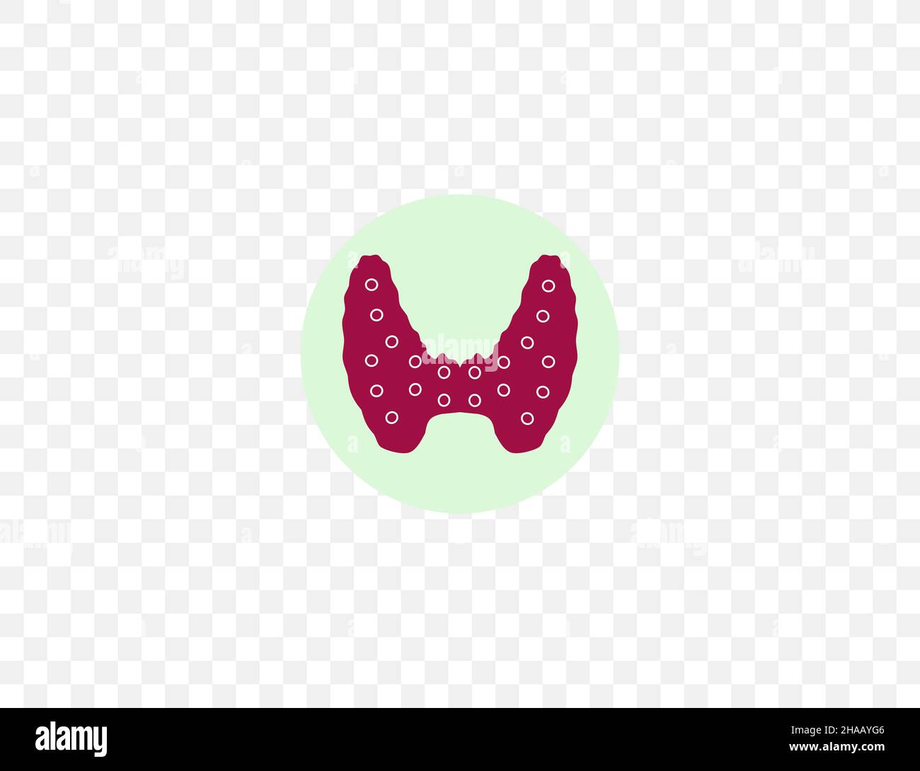 Vector illustration. Flat design. Endocrine gland thyroid icon Stock ...