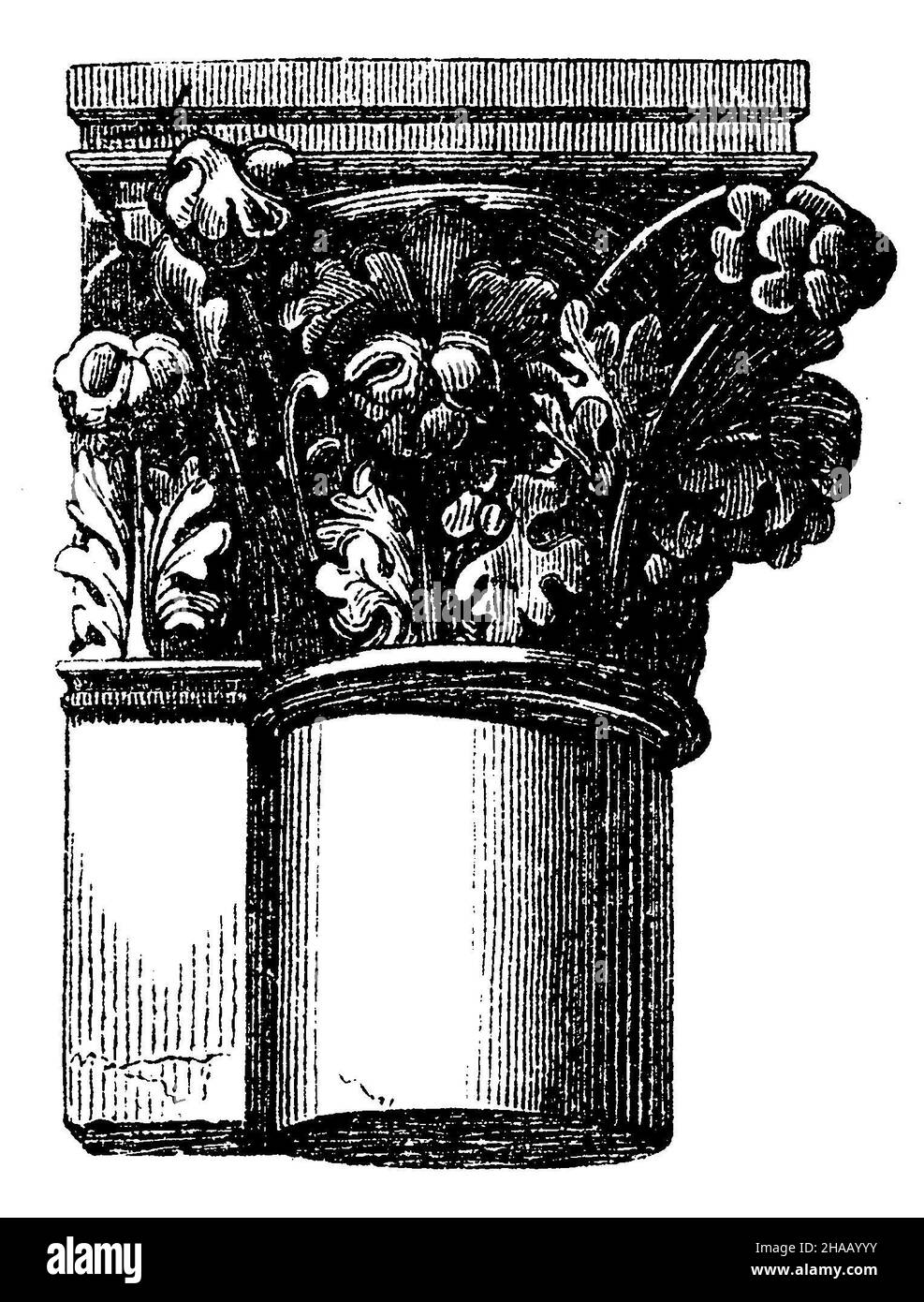 Floral work. Capital made of rhymes. French-Gothic construction ...