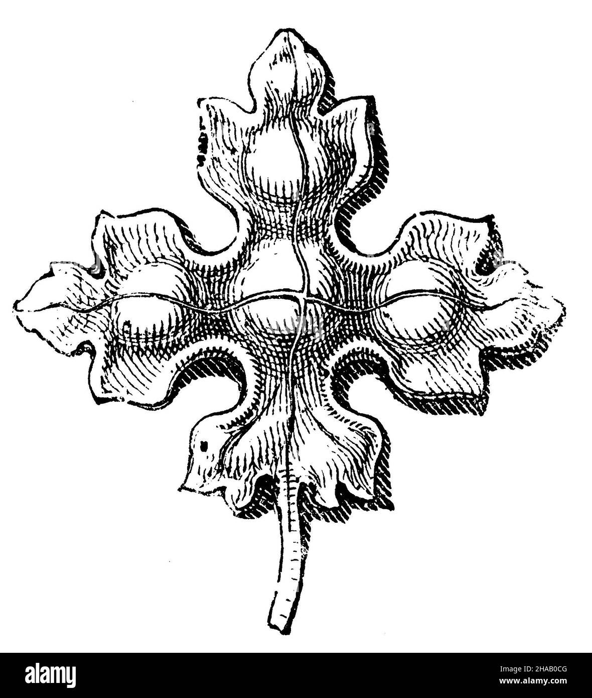 Cruciform: flower-like ornament made of natural stone on Gothic or neo ...