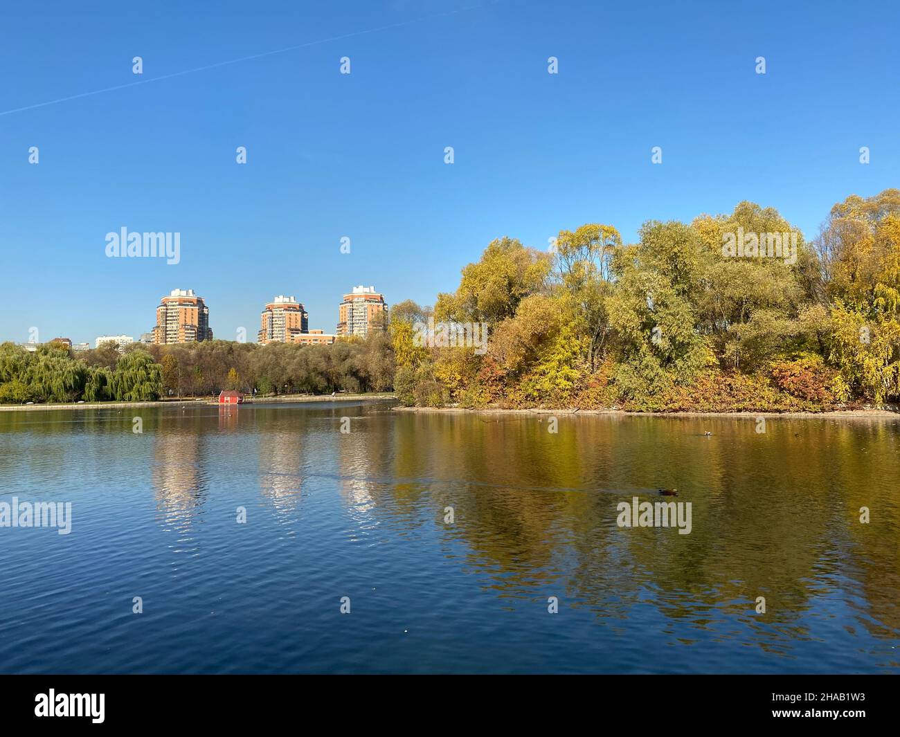park in autumn at dry sunny fall day Stock Photo - Alamy