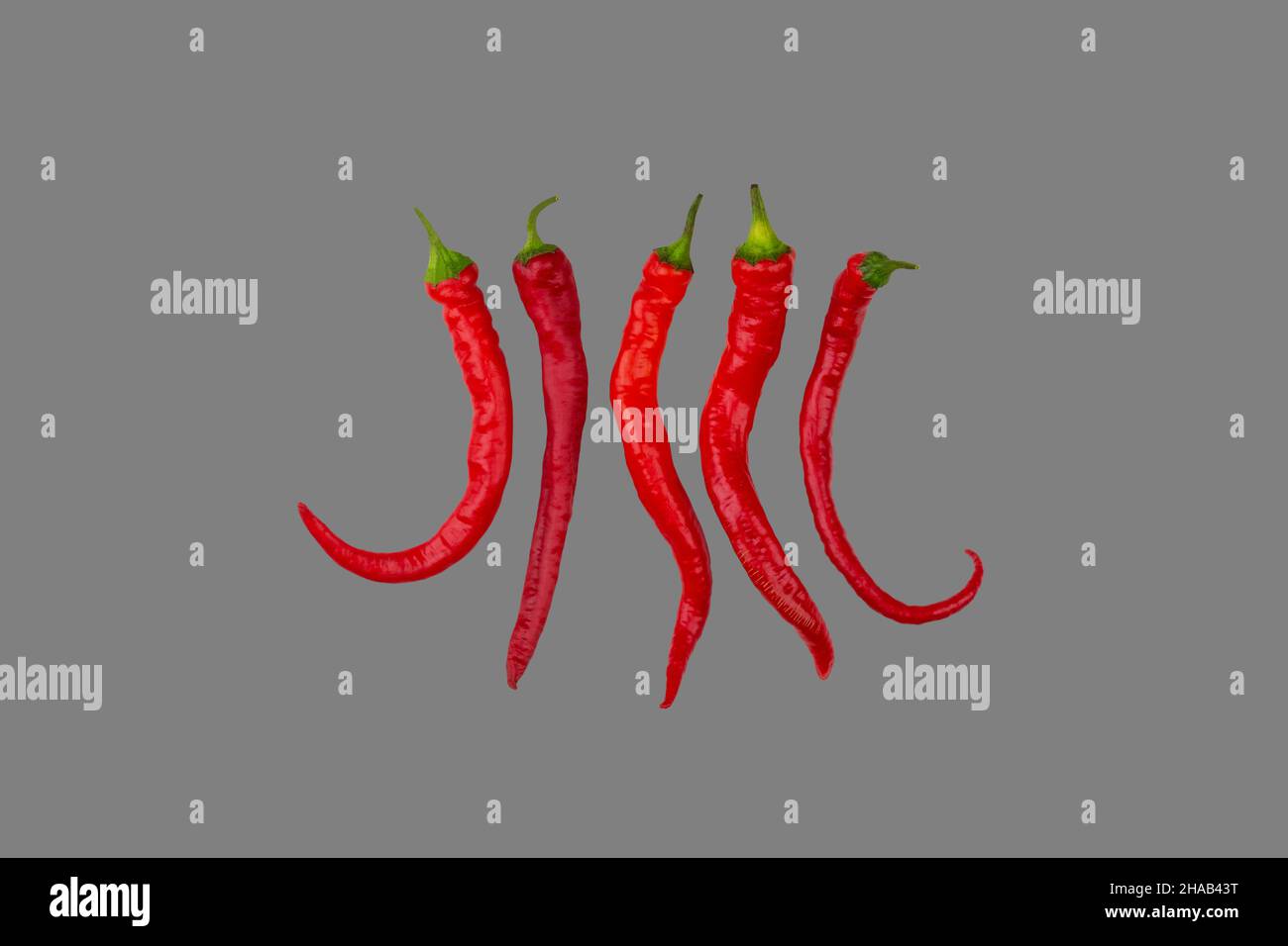 five large red hot chili peppers isolated on a gray background Stock ...
