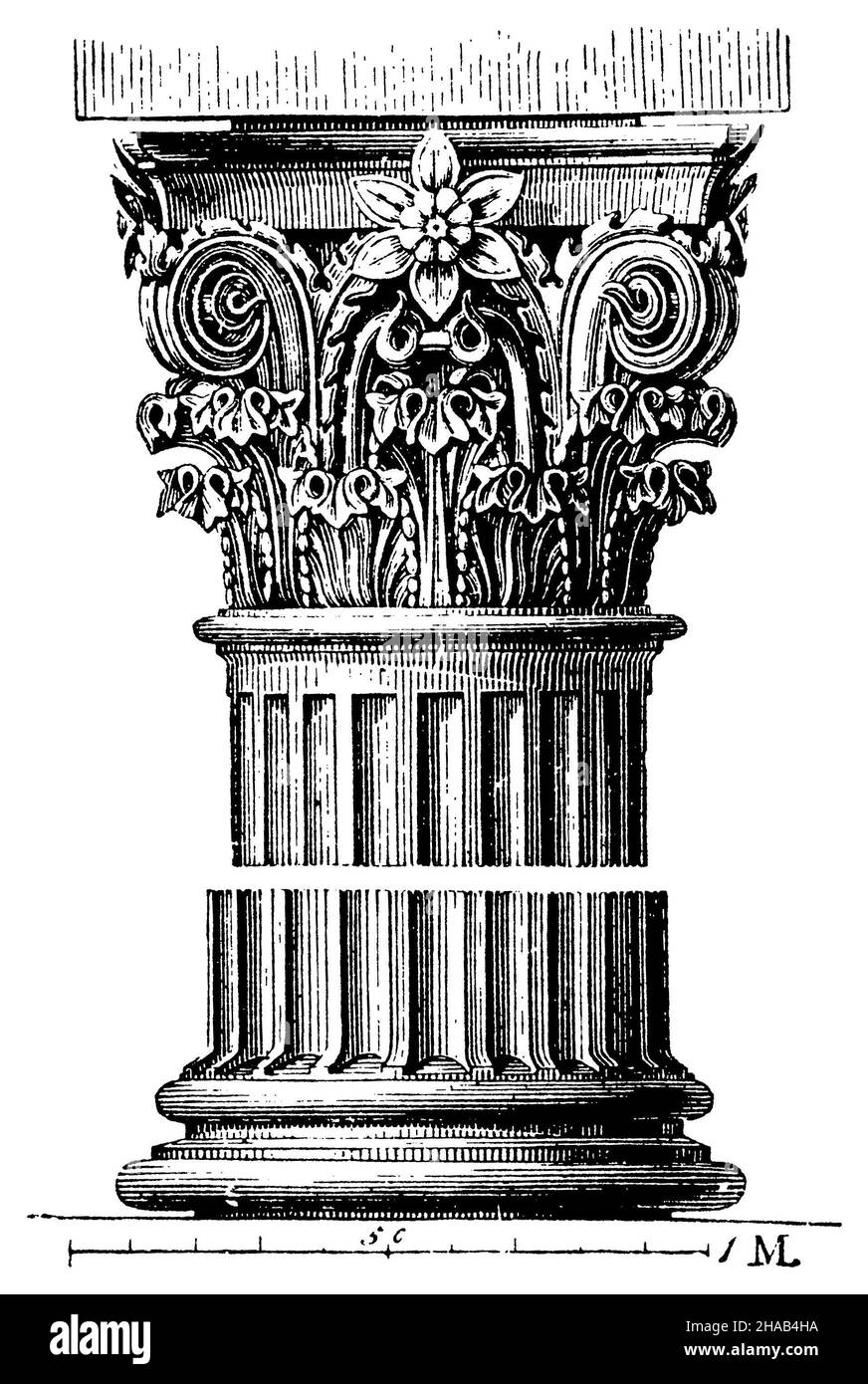 Corinthian Column Drawing