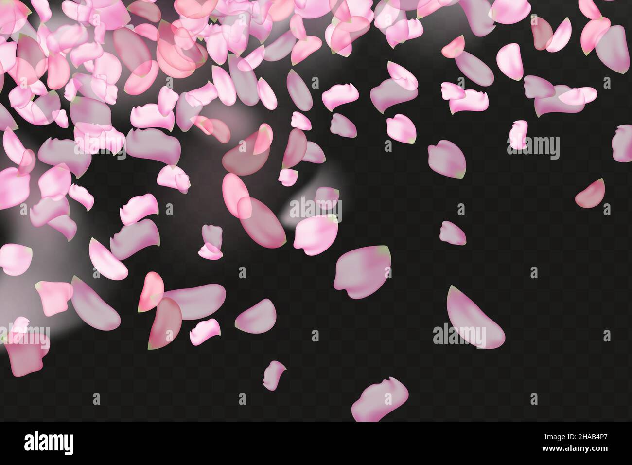 Nature horizontal black background.Pink falling sakura petals Stock ...