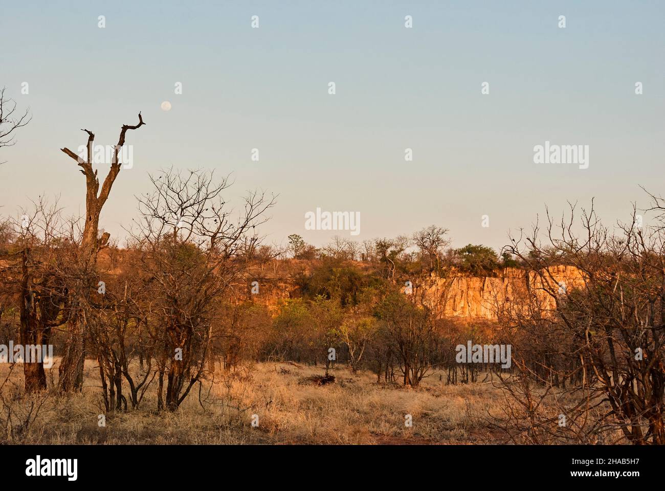 Romantic dry and arid african Landscape of sharp edged sandstone rocks ...