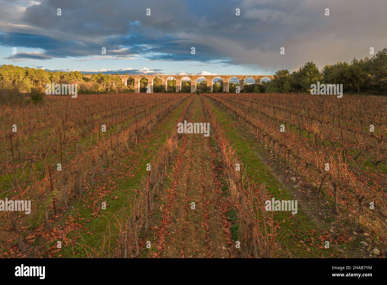 Aerial view of the vineyard under the sunlight and rainbow in winter ...