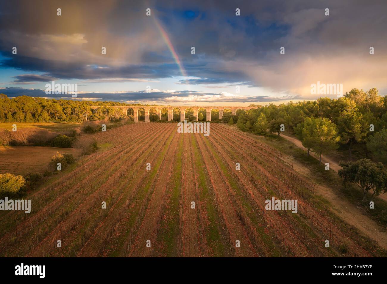 Aerial view of the vineyard under the sunlight and rainbow in winter ...