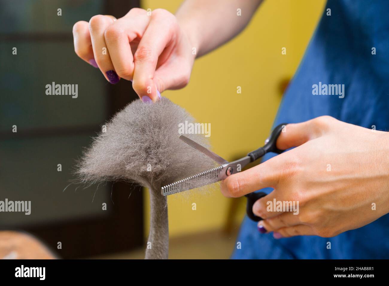 Cutting tail hi-res stock photography and images - Alamy