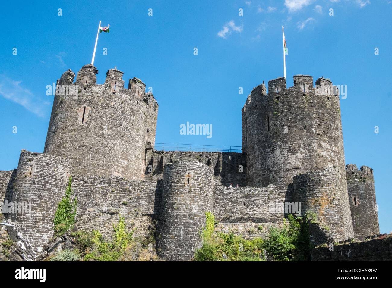 Walk,walking,walker,castle,walls,around,town,of,in,Conway,Conwy,Conwy ...