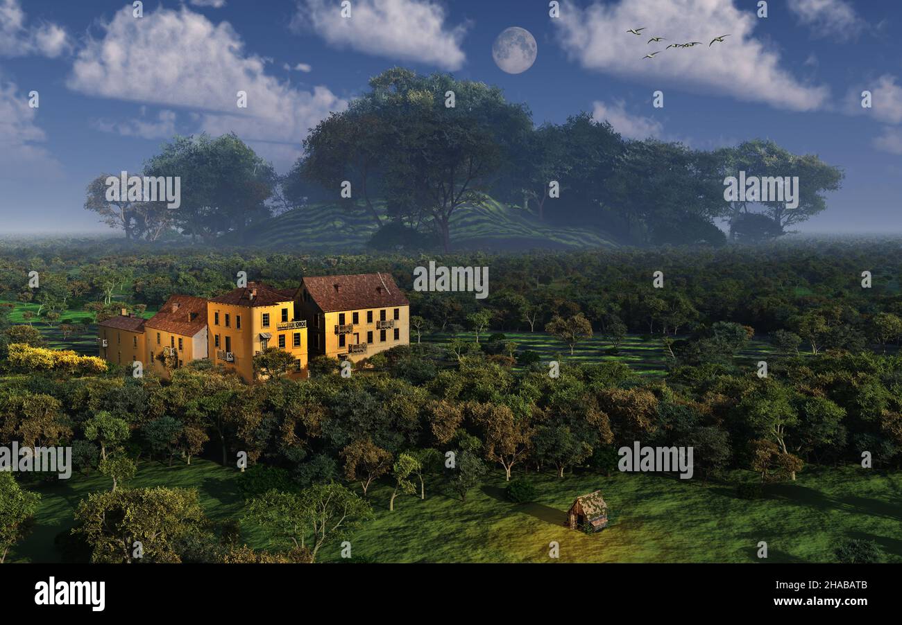 Natural woodland settings hi-res stock photography and images - Alamy