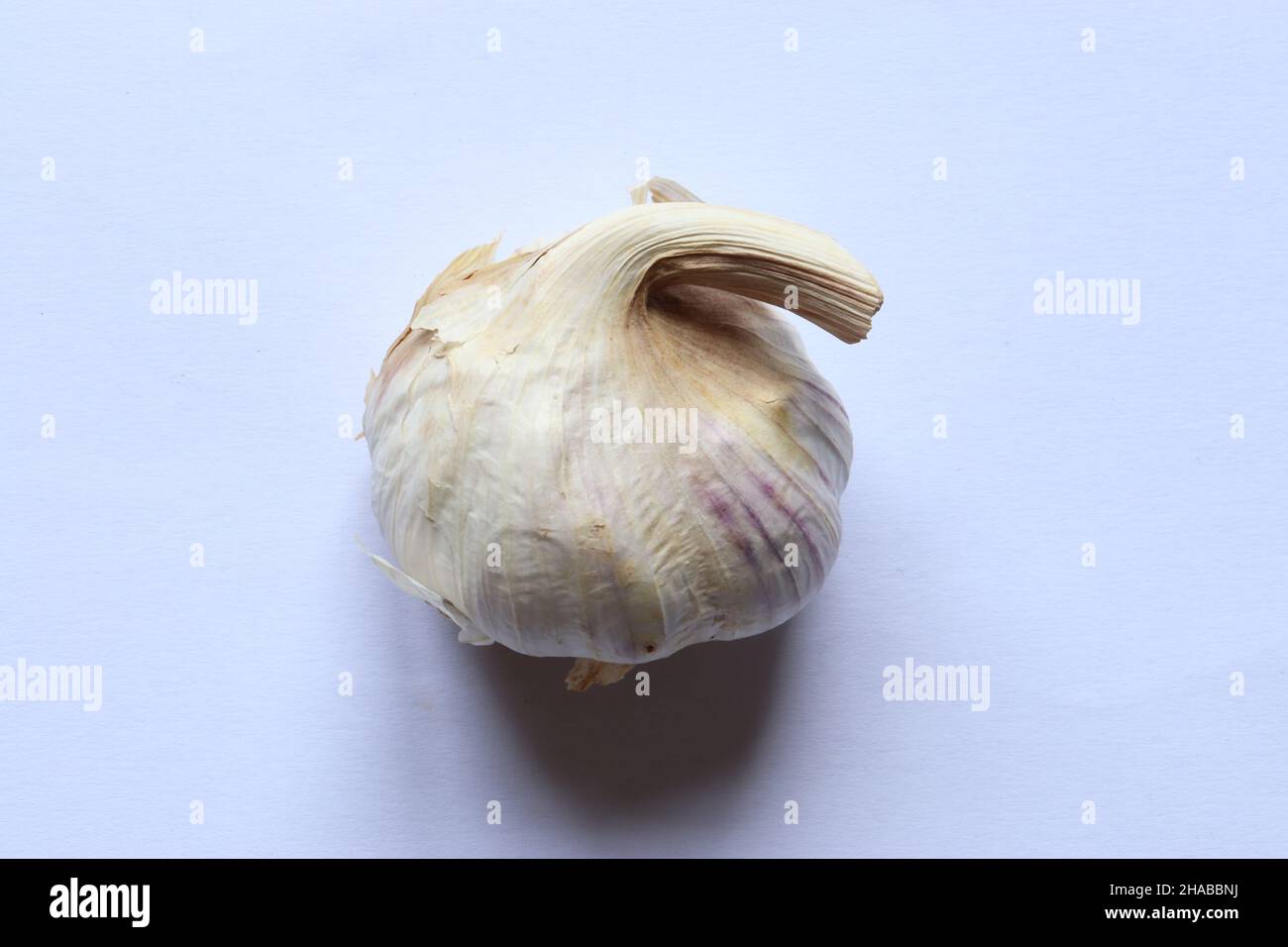 Photography of an isolated garlic head on white Stock Photo - Alamy