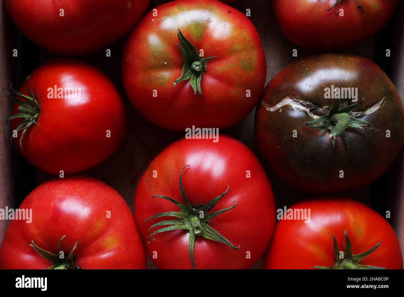 Many old varieties of tomatoes for food background Stock Photo - Alamy