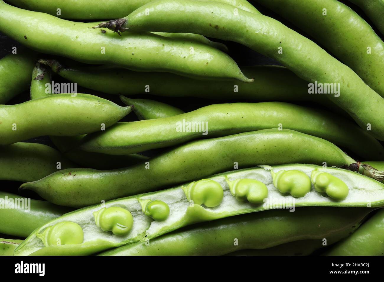 Photography of a bunch of broad bean pods and broad beans in open pod ...