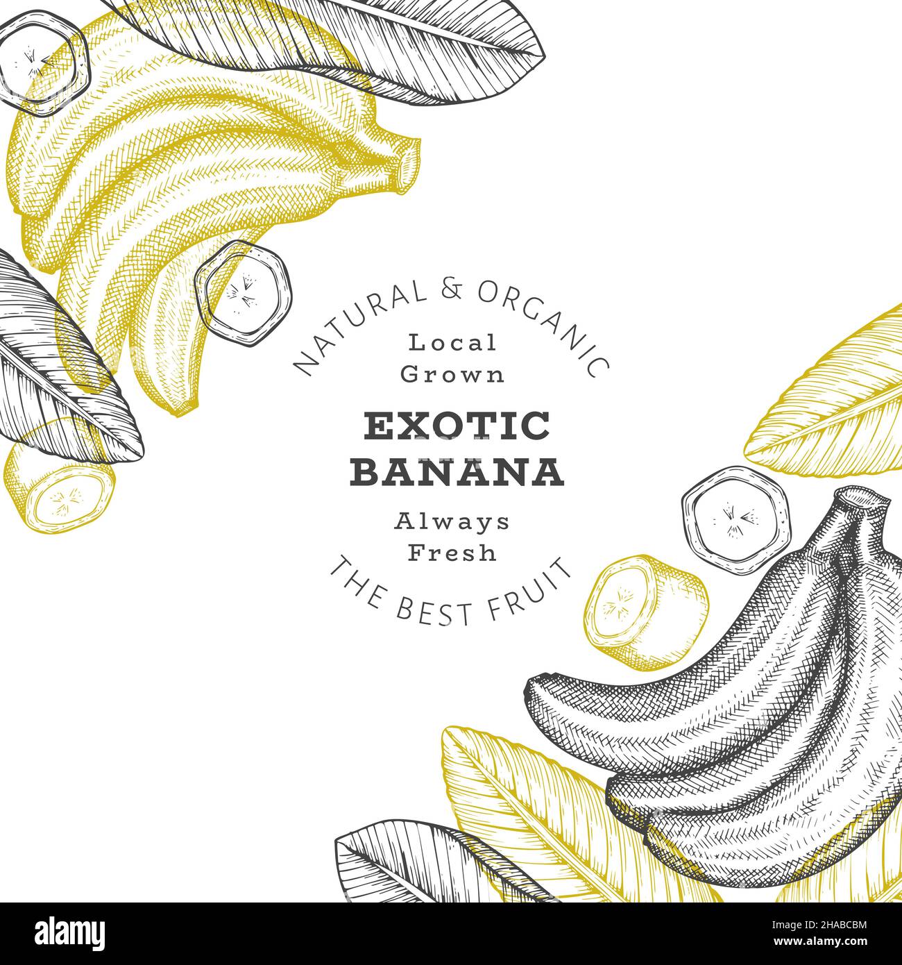 Hand drawn sketch style banana banner. Organic fresh fruit vector ...