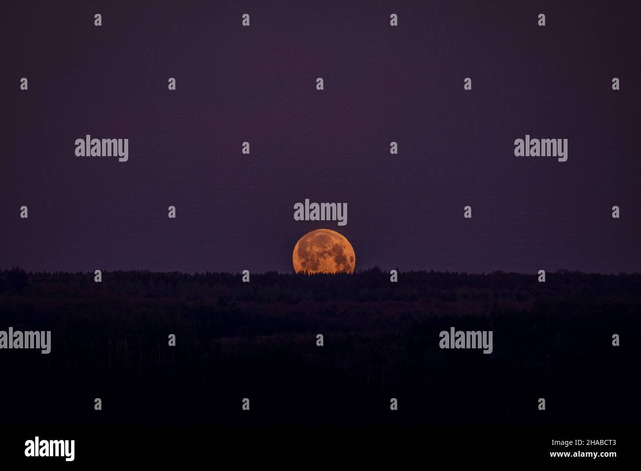 A beautiful scene of a full moon night Stock Photo - Alamy