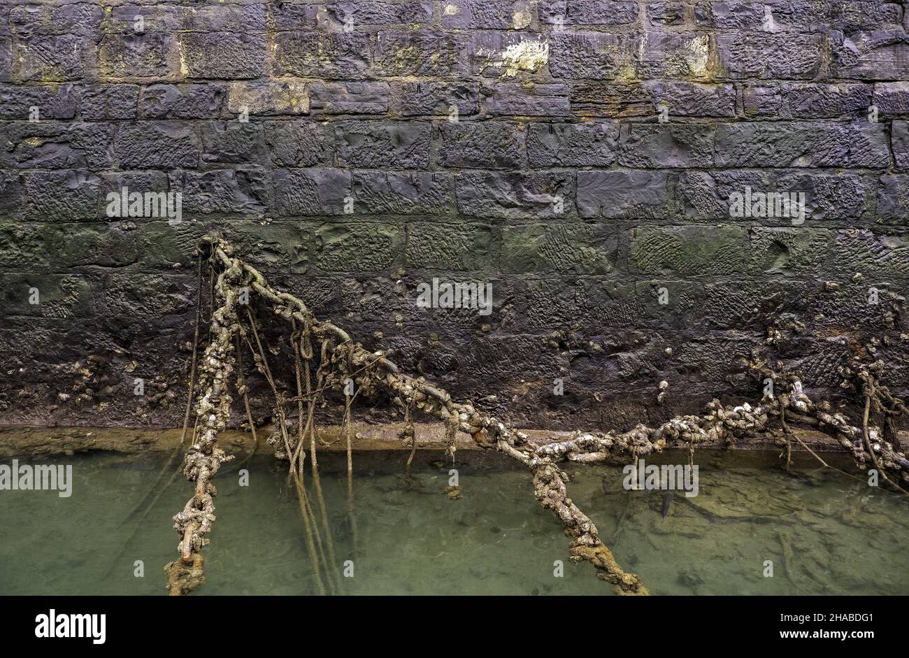 Rusty chains dock of fishing port, industry and objects Stock Photo - Alamy