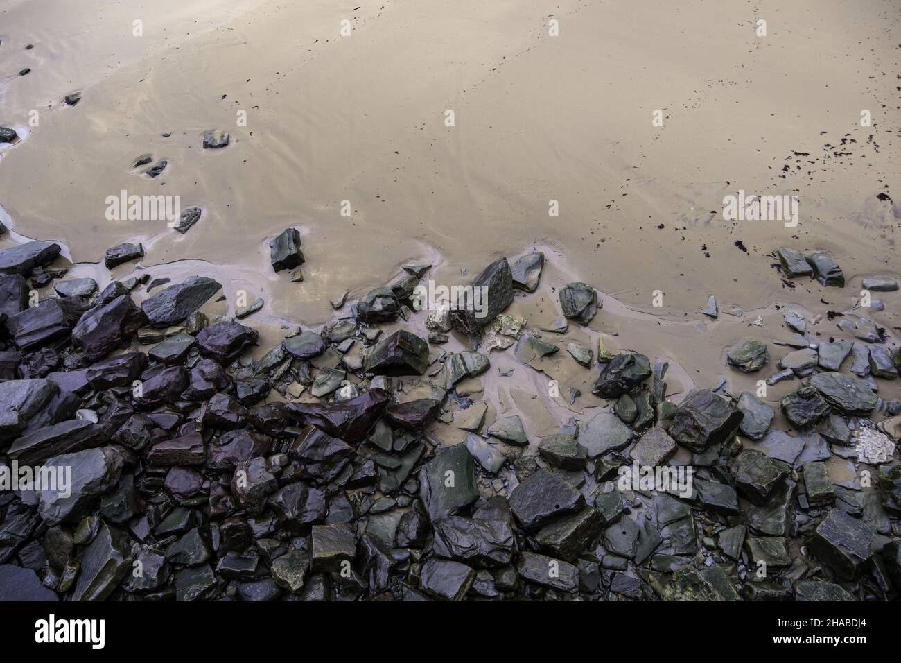 Stones in sand beach, nature and landscape, sea Stock Photo - Alamy