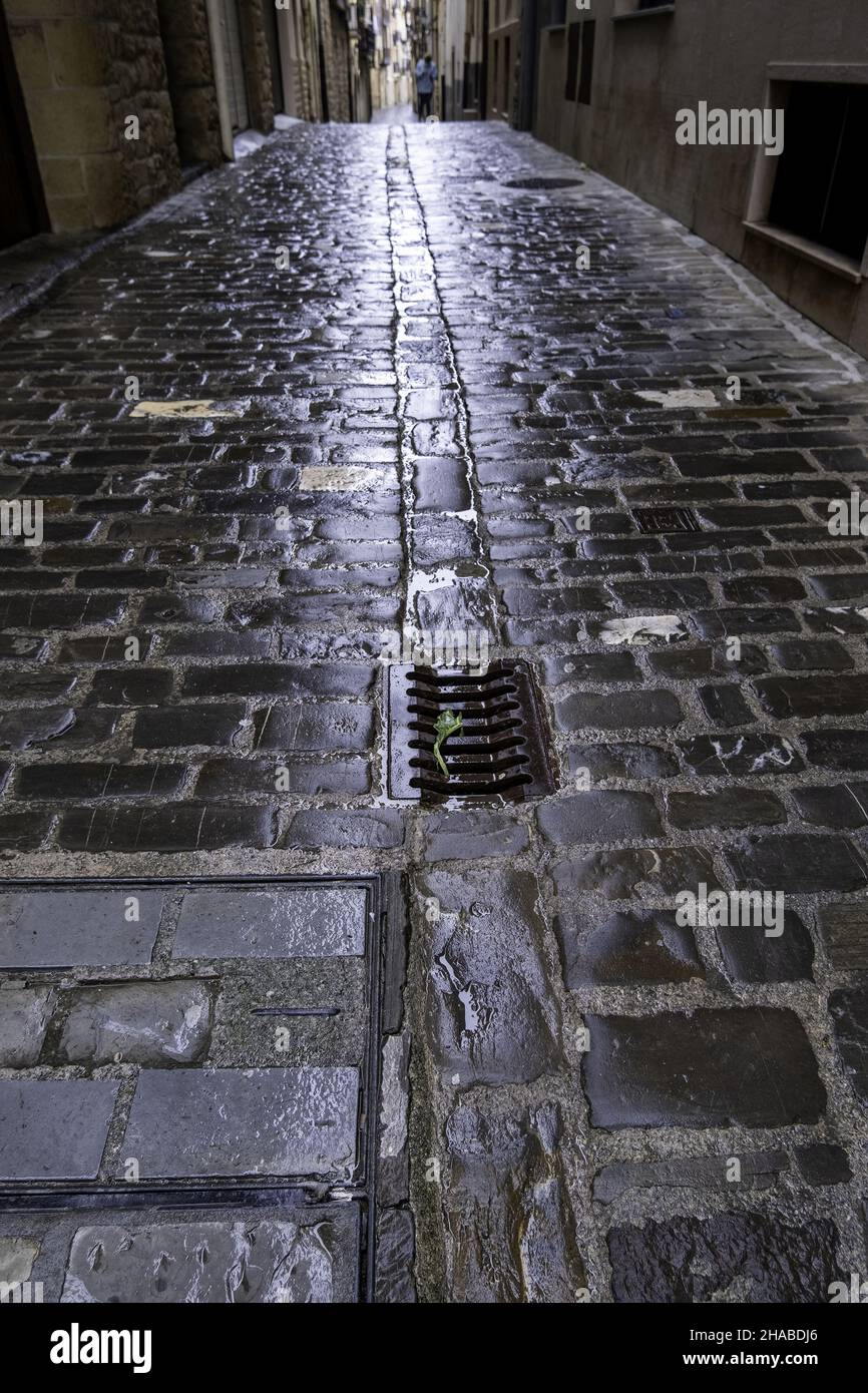 Wet stone street in old town, construction and architecture Stock Photo ...