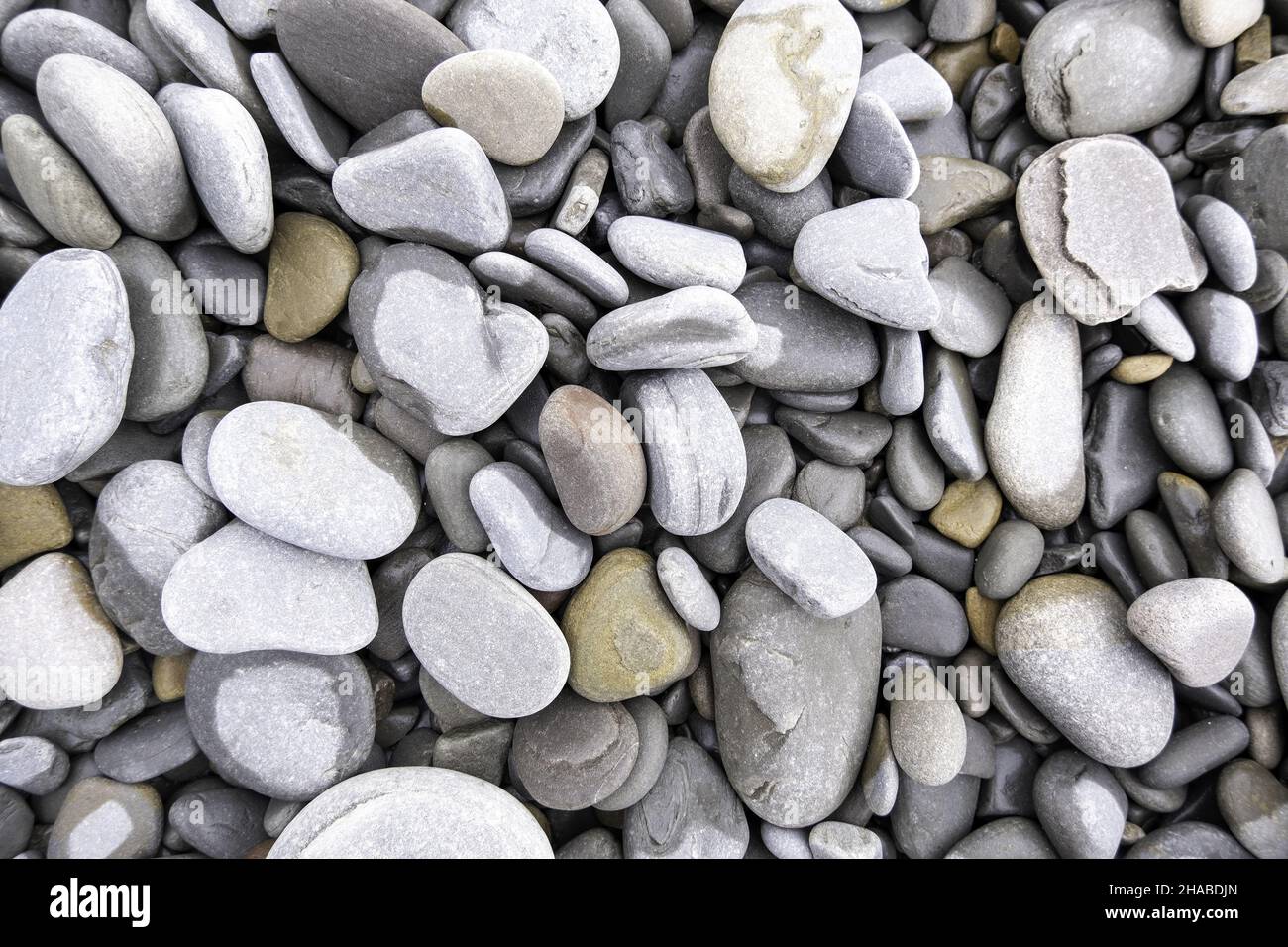 Pebble stones in natural park, geology and detail Stock Photo - Alamy