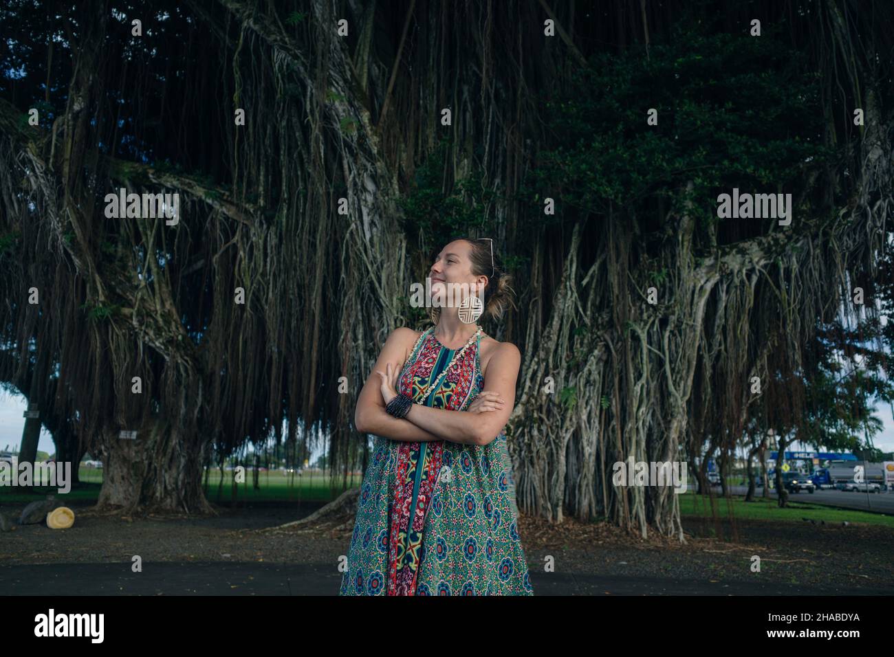 Banyan Drive is a tree-lined street at the shoreline of Hilo Stock ...