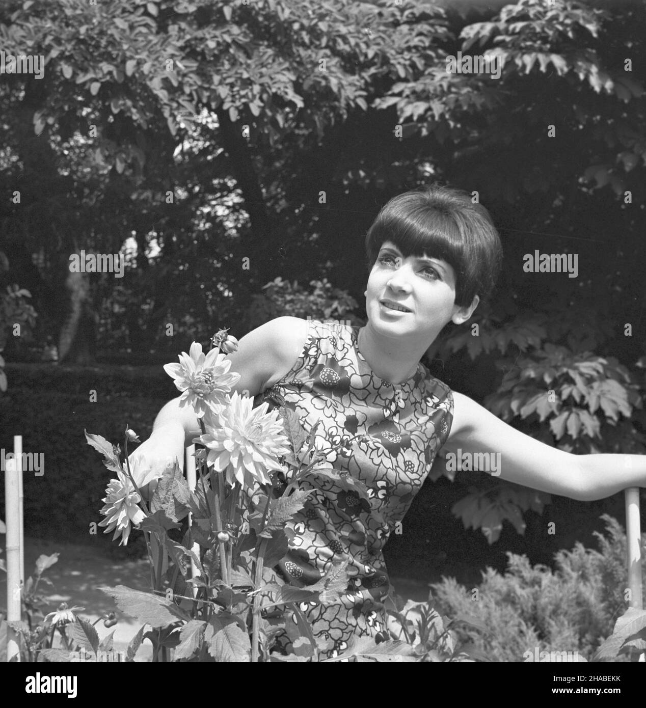 Dalia singer hi-res stock photography and images - Alamy