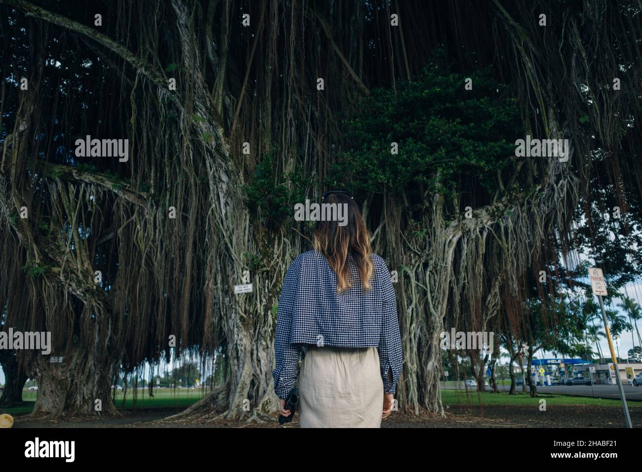 Hawaii big island hilo street hi-res stock photography and images - Alamy