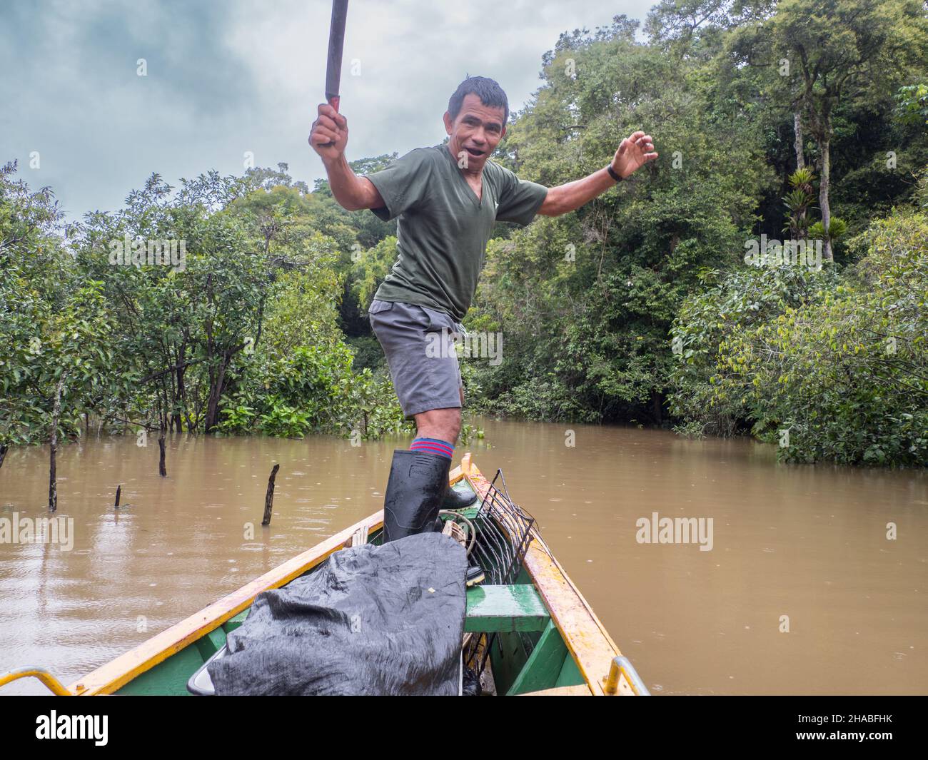 Amazonia - Dec 2019: Local guide navigates boat that sails through the ...