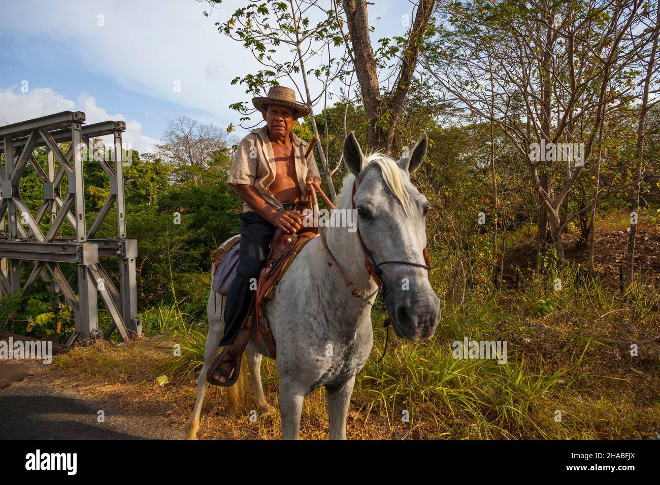 Panamanian man on a horse at Toro Bravo in the Cocle province, Republic ...