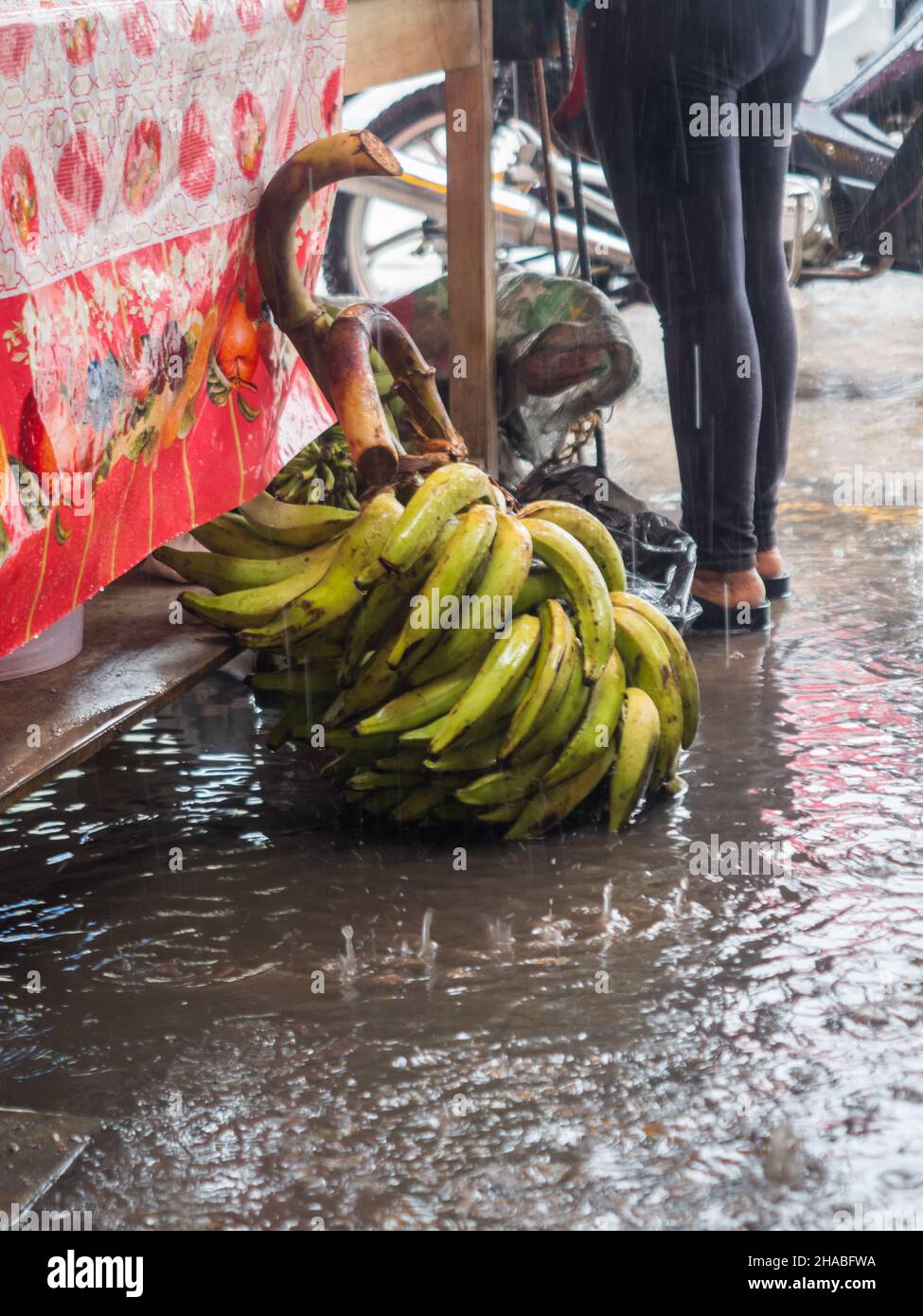 A bunch of bananas is lying on the ground in a pool of water during the ...