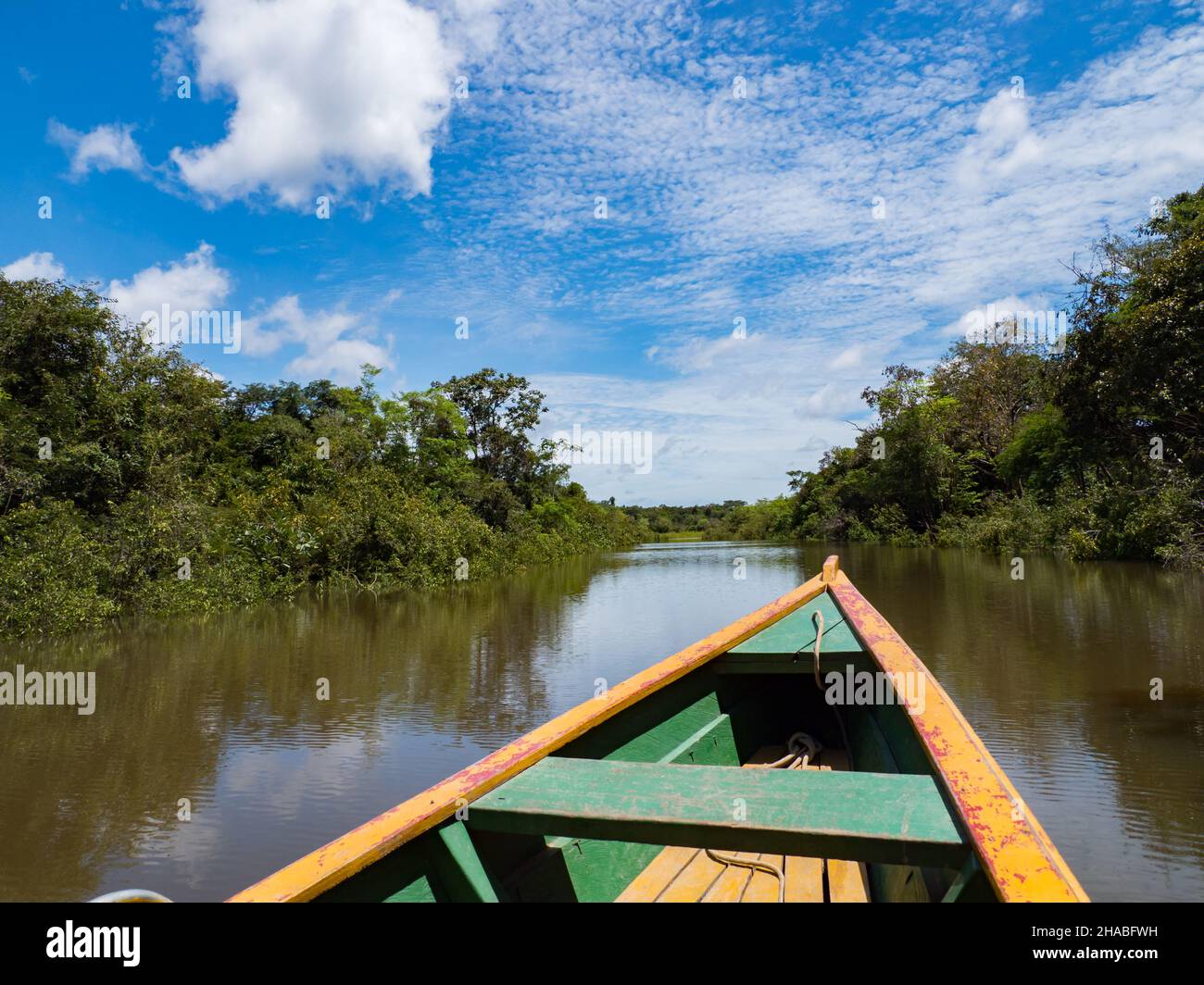 View from the wooden boat on the wall of green tropical forest in the ...