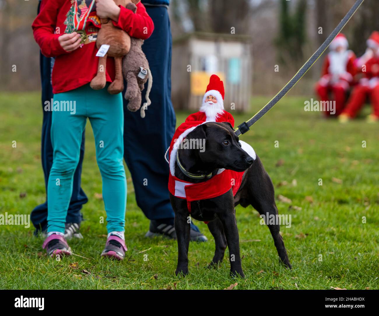 Child santa quirky hi-res stock photography and images - Alamy